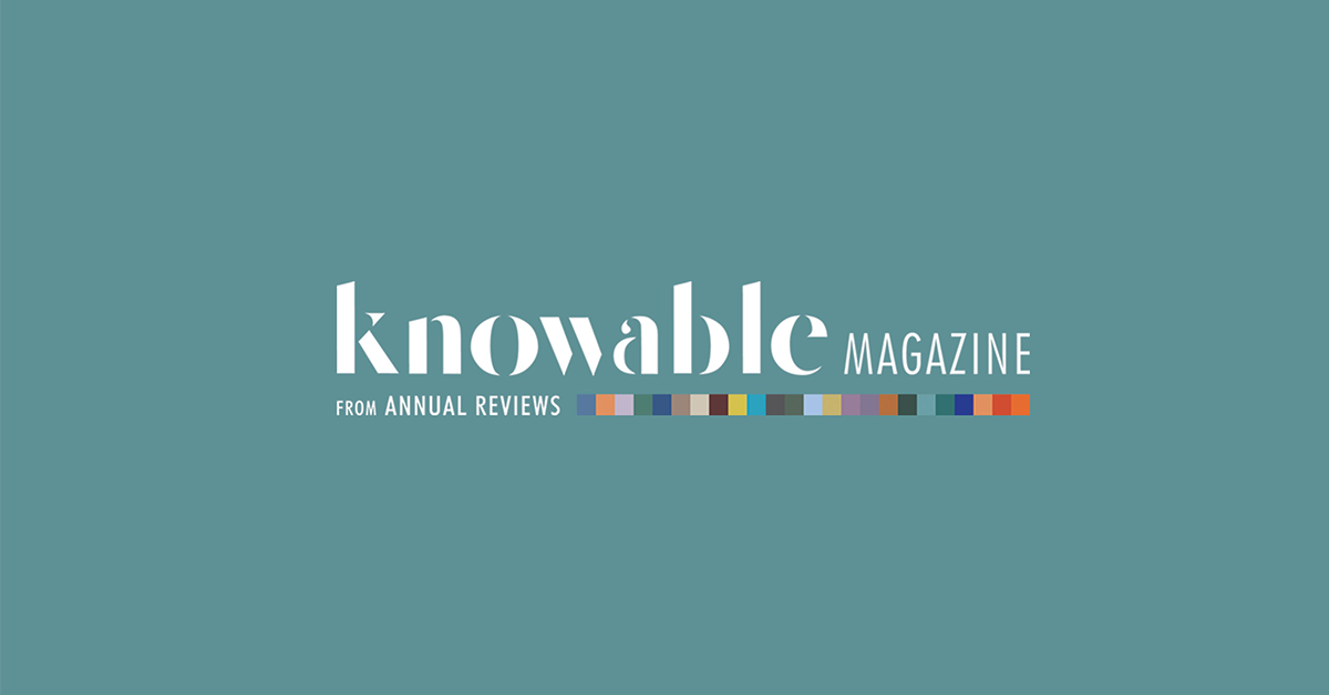 Knowable Magazine Freelance Market Guide | Association of Health Care ...